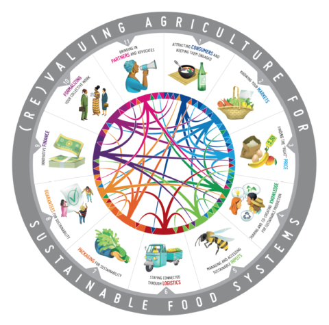 How to build sustainable food systems? A manual from UN FAO and INRAE ...